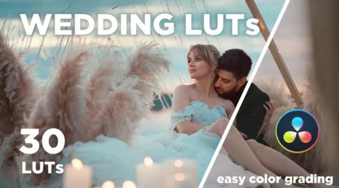 30 Wedding Luts for Davinci Resolve Color Grading (PDF) - Etsy