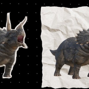 Unfold Paper Animator for Davinci Resolve | Torn Paper Transitions for ...