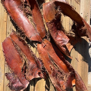 4 Large Palm Bark Pieces, Dried Palm Bark Fiber - Etsy
