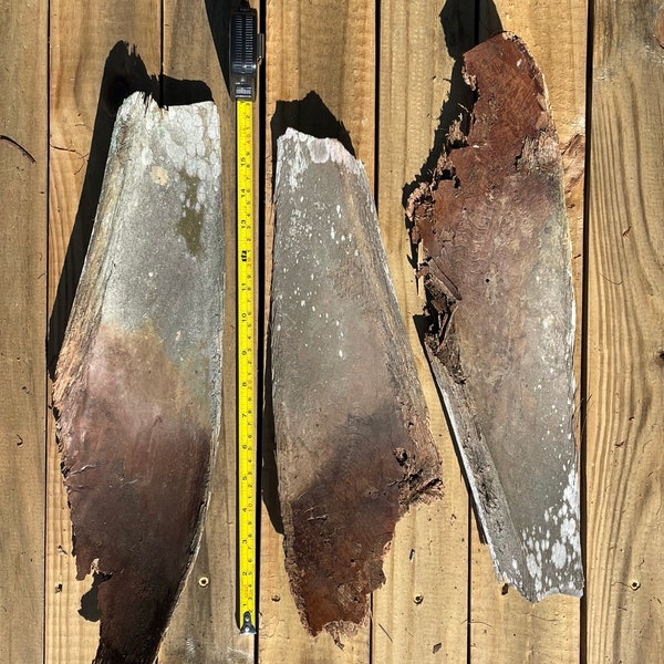 Palm Tree Bark - Etsy