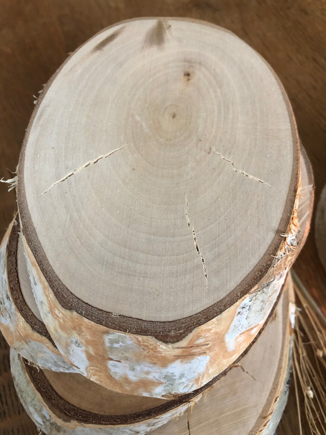 Solid Birch Sanded Tree Slices, Untreated Wood Slices, Decorative ...