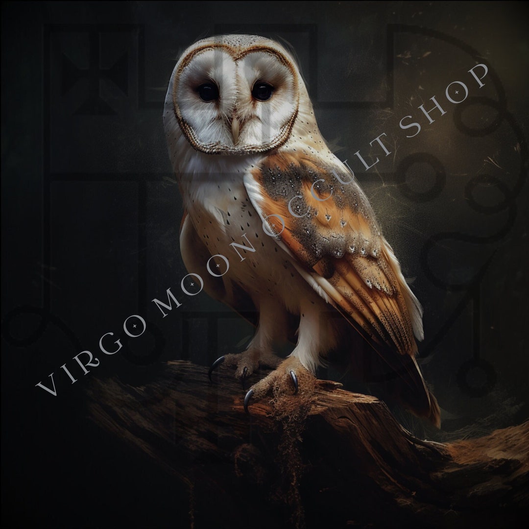 Stolas Art Print - Etsy