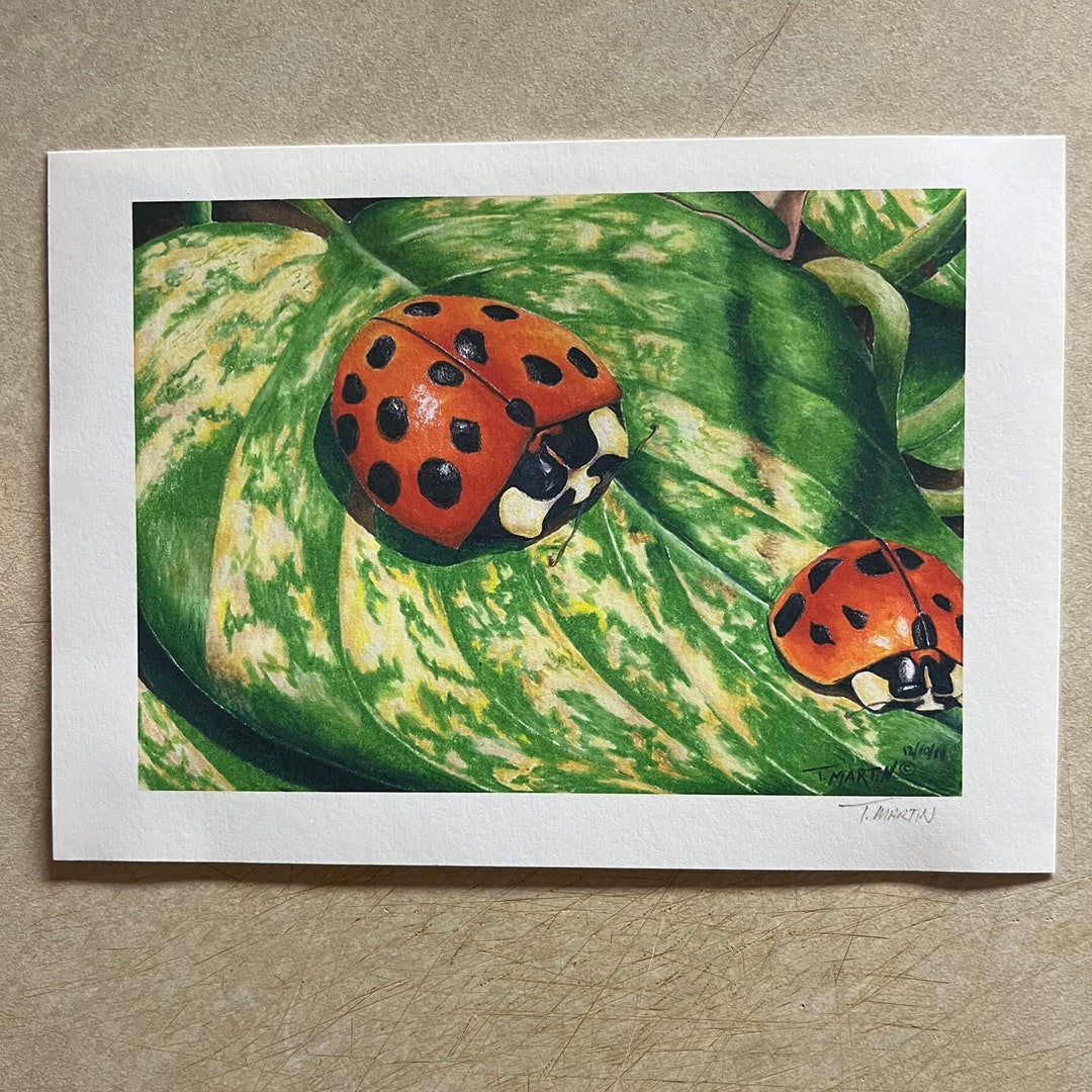 Print of Original Colored Pencil Drawing Ladybugs. Home Decor. Wall Art ...