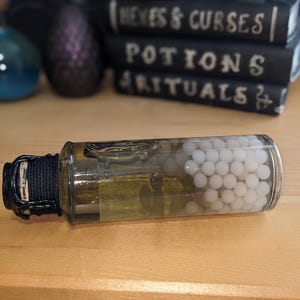 Spiders Eggs| Potion Bottle| Apothecary Jar| Fantasy Potion Bottle ...
