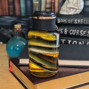 Snake Oil| Magic Potion Bottle| Apothecary Jar| Bookshelf Decor ...