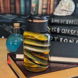 Snake Oil| Magic Potion Bottle| Apothecary Jar| Bookshelf Decor ...