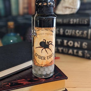 Spiders Eggs| Potion Bottle| Apothecary Jar| Fantasy Potion Bottle ...
