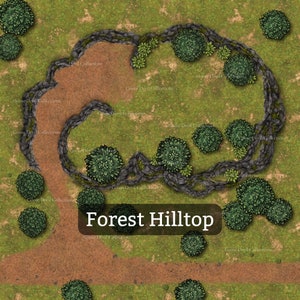 Forest Battle Map, Battle Maps, Dungeons and Dragons Battle Maps ...