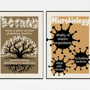 Science Classroom Posters: Mid-century Modern Scientific Fields ...