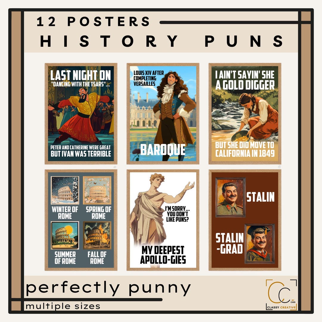 History Classroom Decor Social Studies Poster Funny American History ...