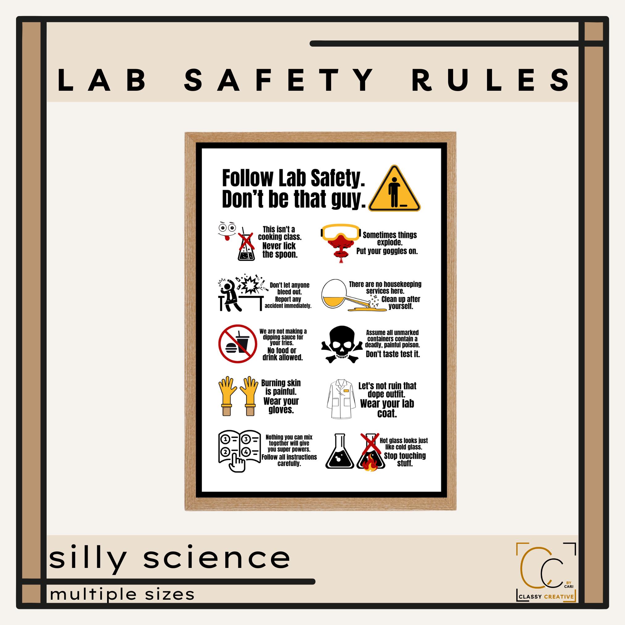 Lab Safety Rules Lab Safety Rules And Lab Safety Activities For
