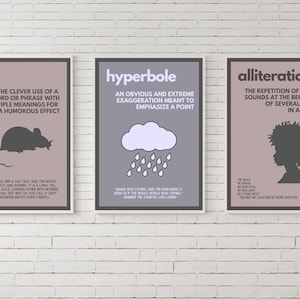 Literary Devices Posters: Boho English Classroom Decor (digital ...