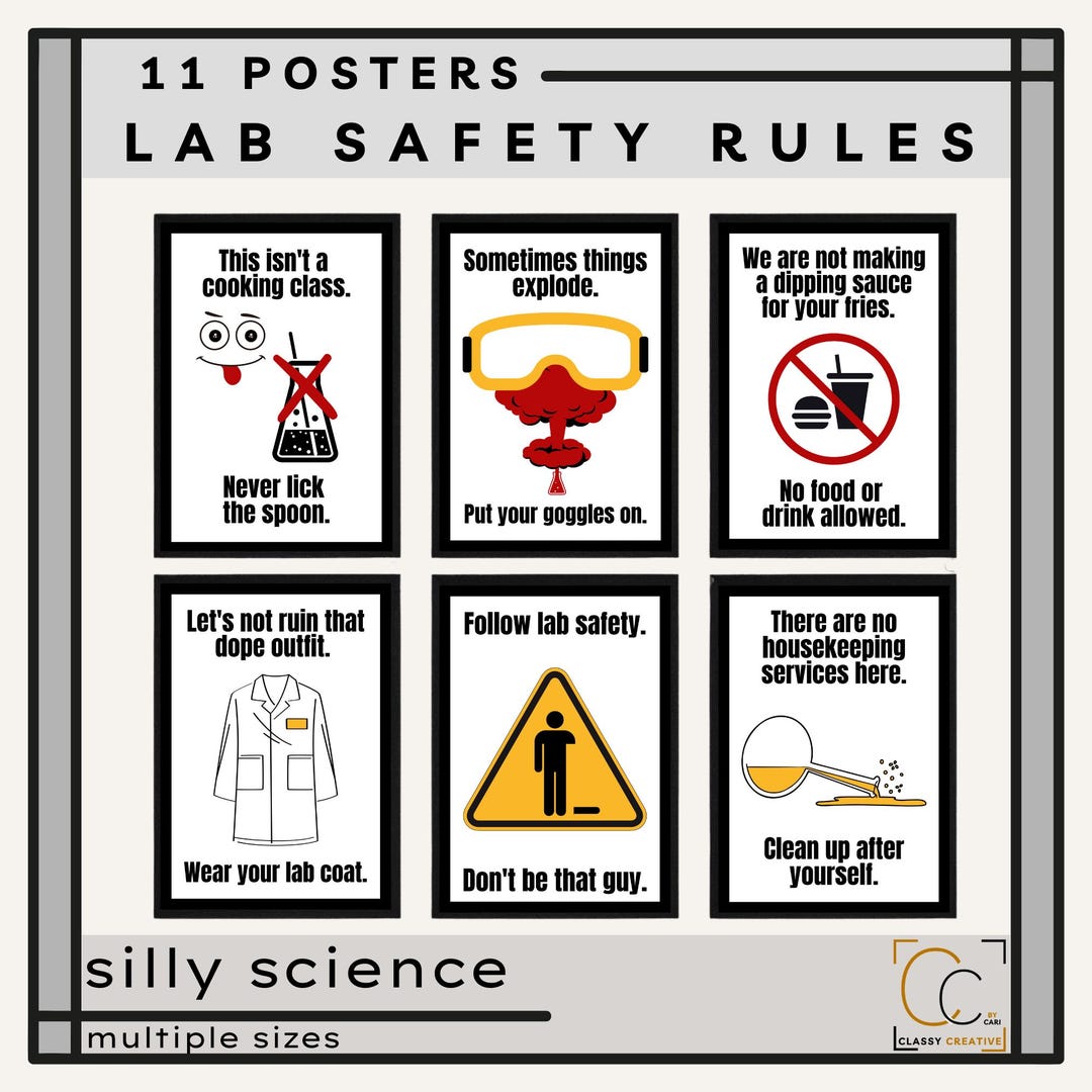 Funny Science Lab Safety Rules Middle School Science Classroom Decor ...