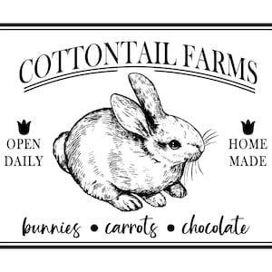 Stencil and / or Wood Cut Outs Cottontail Farms 12"x18" Rabbit Bunny ...