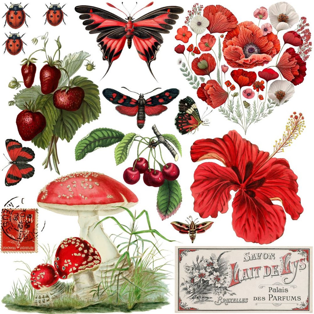 Ruby Reds Rub on Transfer 12x12 - Etsy