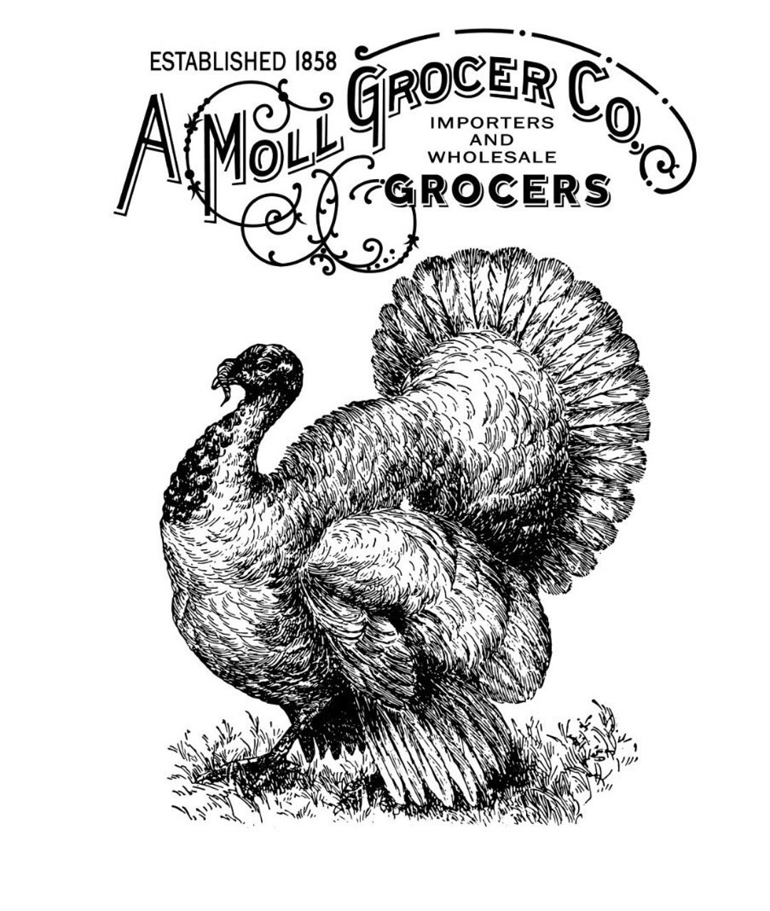 Stencil and / or Wood Cut Outs Tom Turkey 8.5x11 Reusable Silk Screen ...