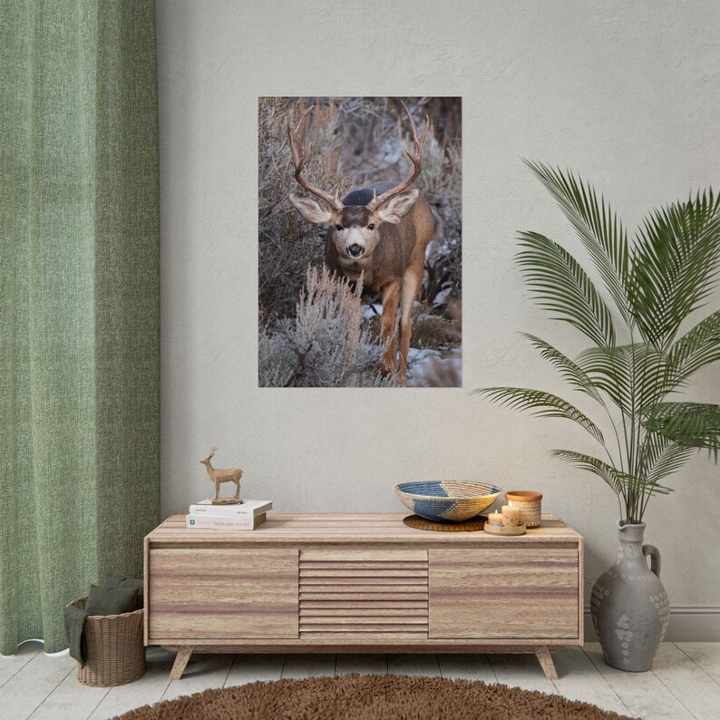 Big Mule Deer Buck Poster, Stunning Head-on Portrait Print for Rustic ...