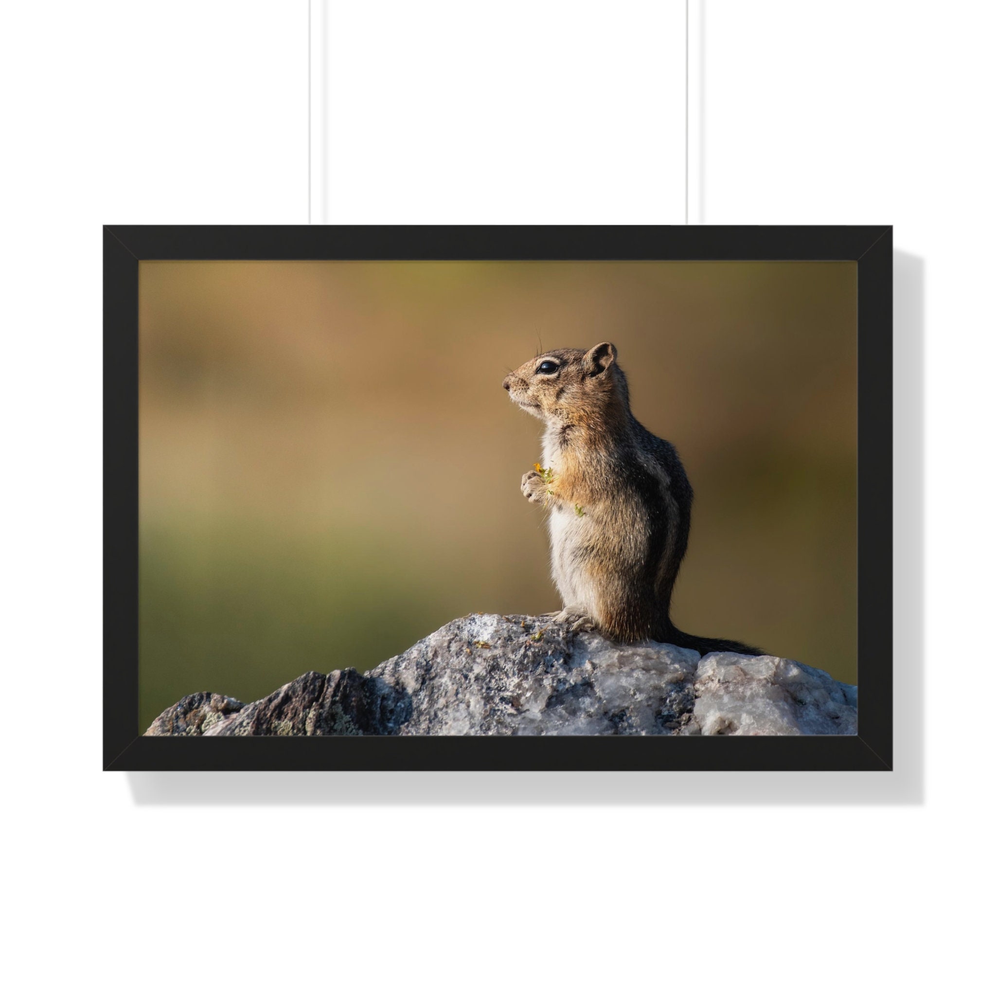Chipmunk Framed Poster Chipmunk Print Chipmunk Art Squirrel Photo ...