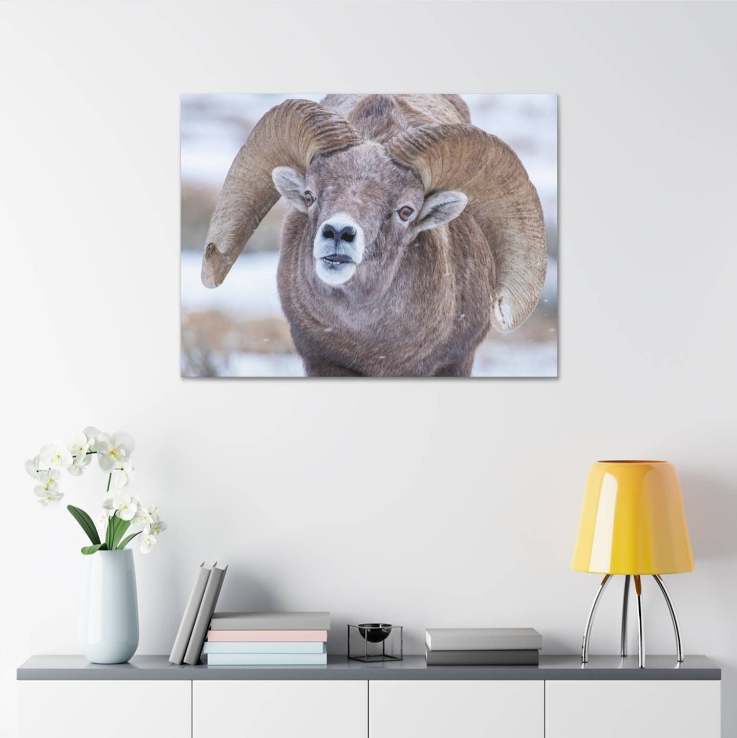 Bighorn Sheep, Bighorn Sheep Photo, Wildlife Photography, Canvas Print ...