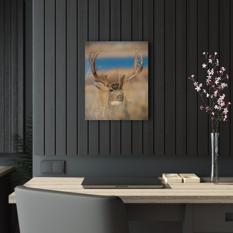 Mule Deer Acrylic Print Mule Deer Art Mule Deer Antlers Wildlife ...