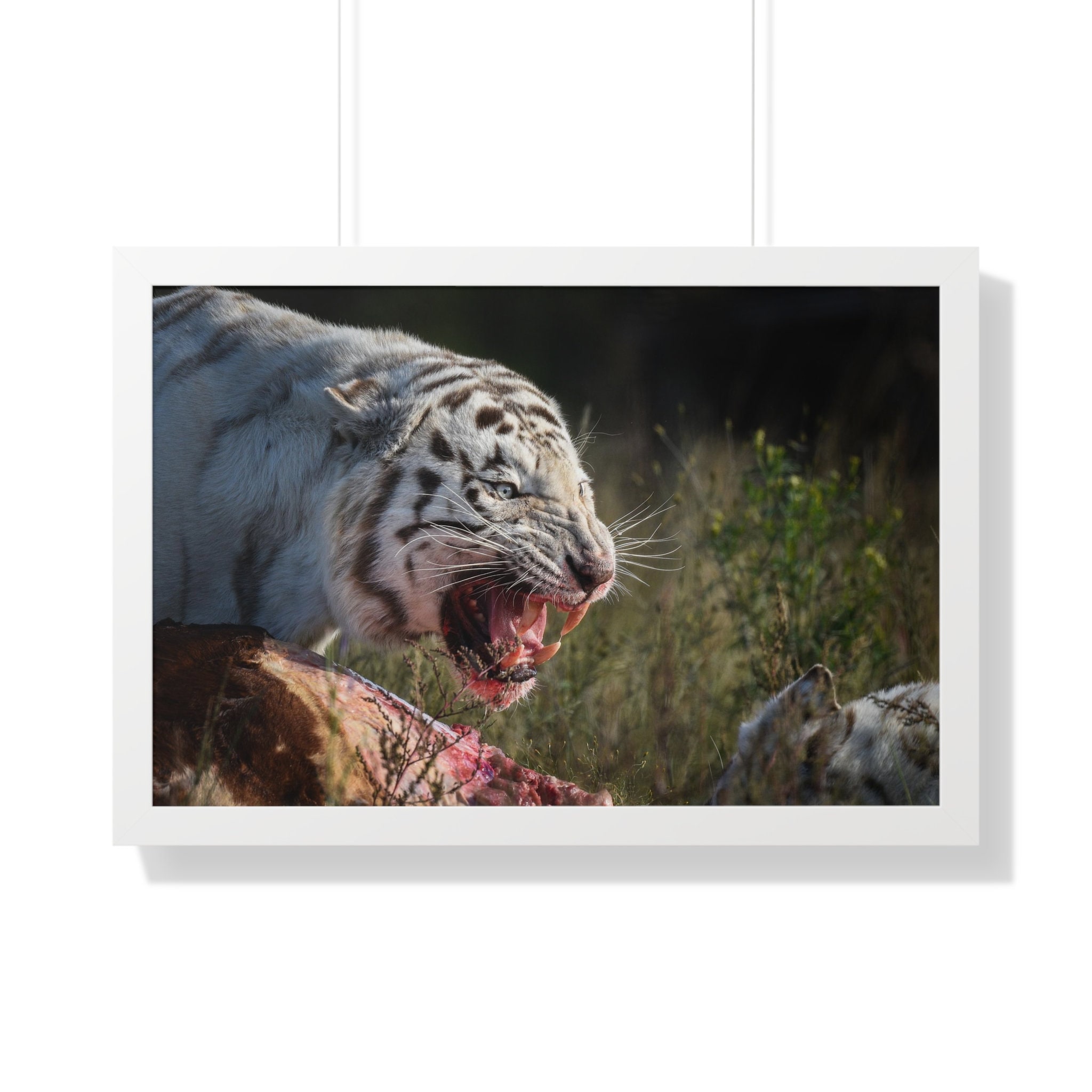 White Tiger Framed Poster Tiger Photo Tiger Art Tiger Print Tiger Eye ...