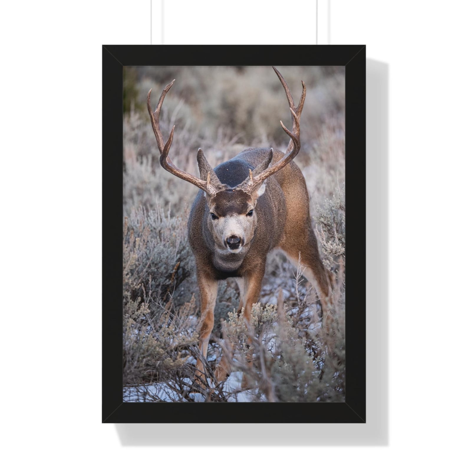 Wilderness Deer Framed Vertical Poster, Wildlife Wall Art, Nature Home ...