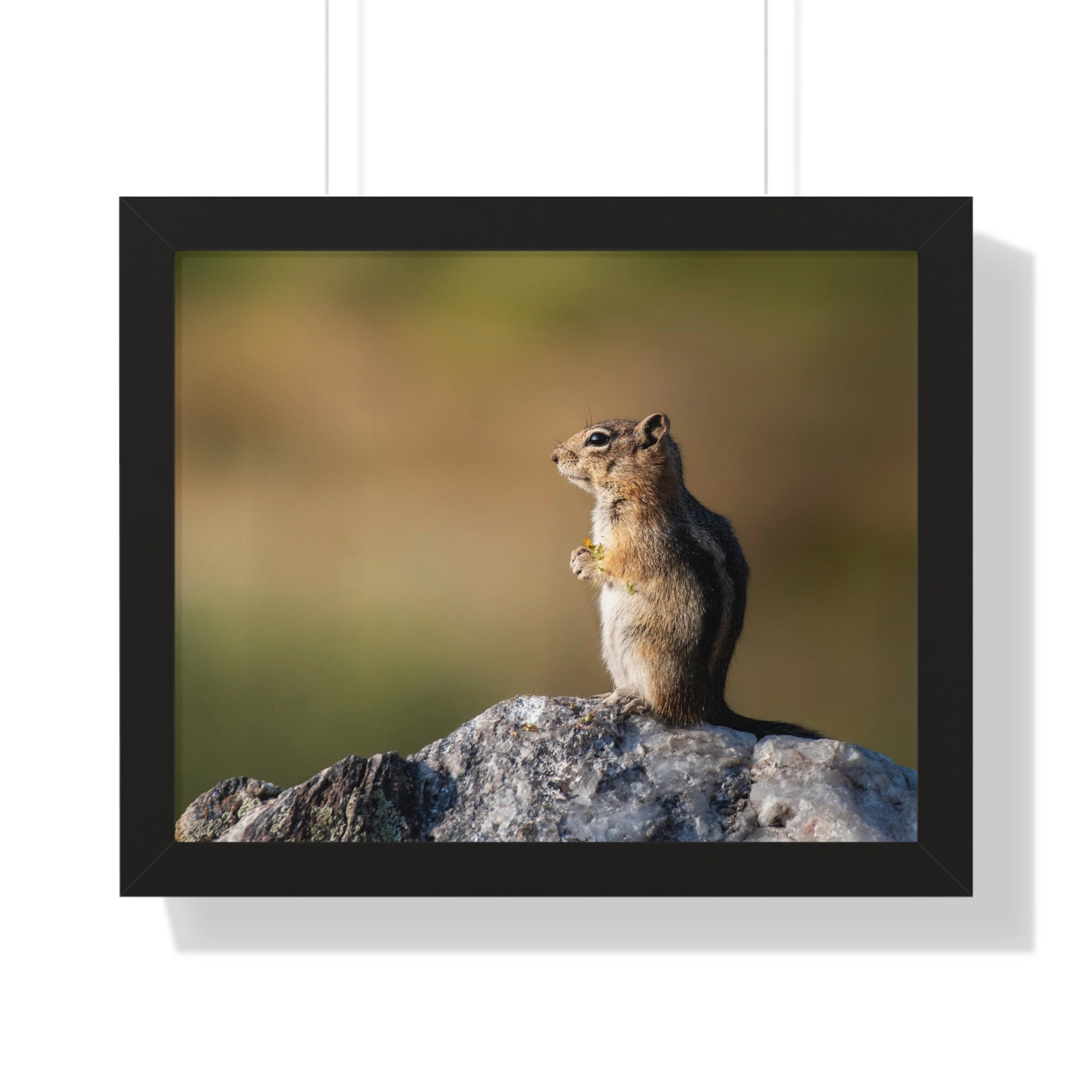 Chipmunk Framed Poster Chipmunk Print Chipmunk Art Squirrel Photo ...