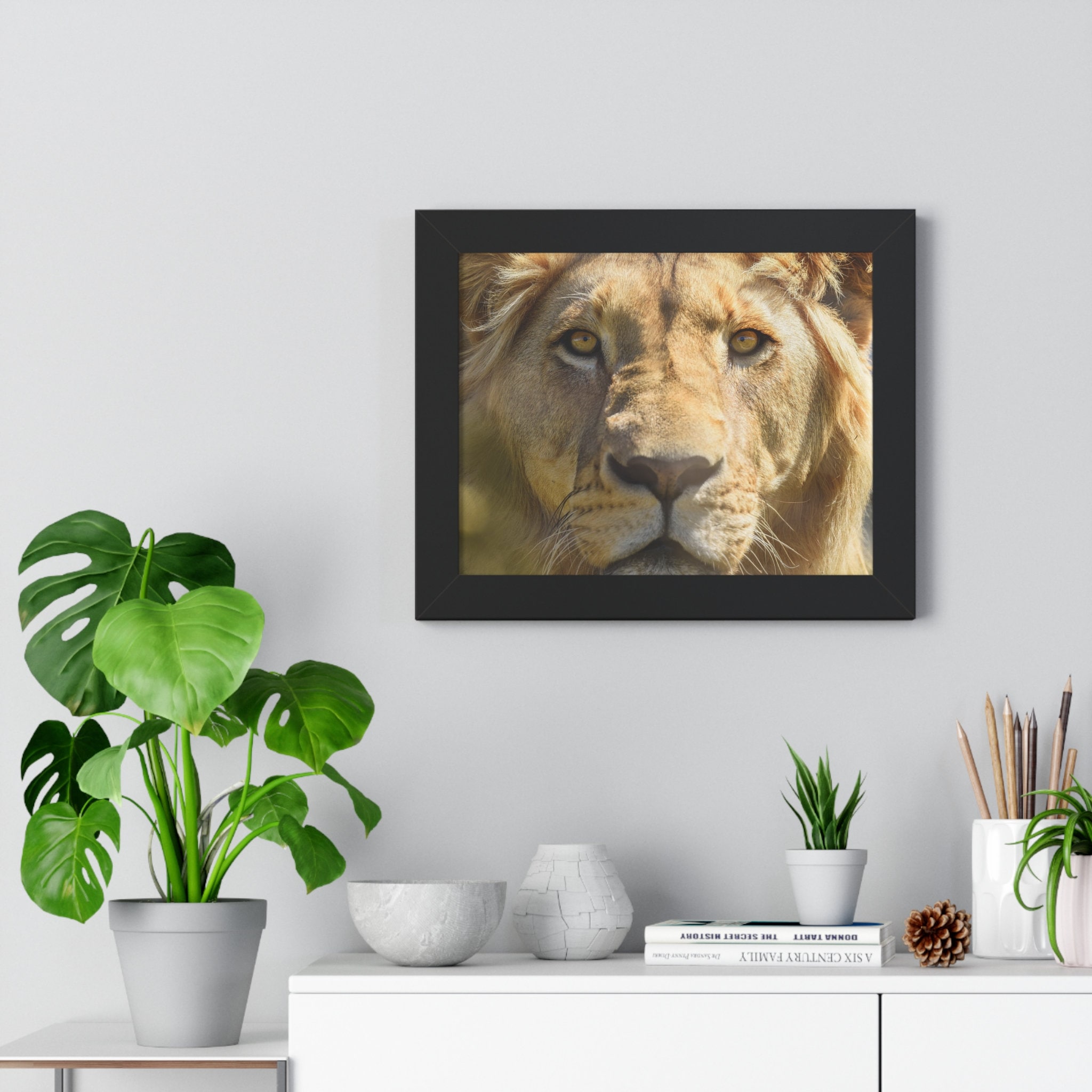 Lion Framed Poster African Lion Lion King Lions Mane Lion Photo Lion ...