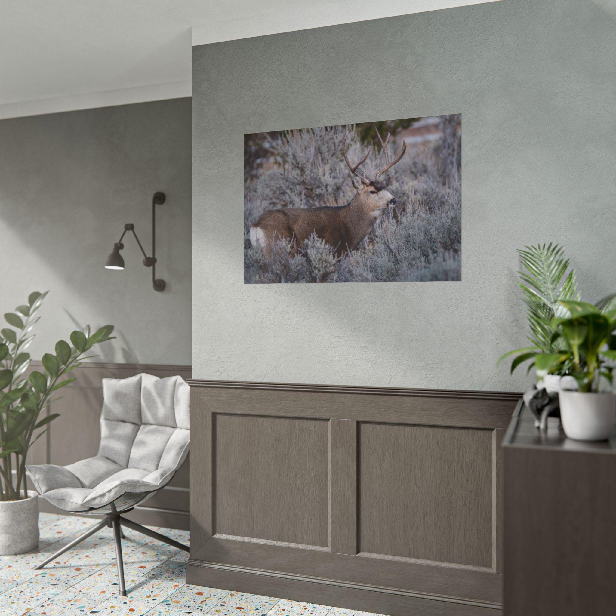 Wild Buck Rolled Poster, Mule Deer Wall Art, Rustic Cabin Decor ...