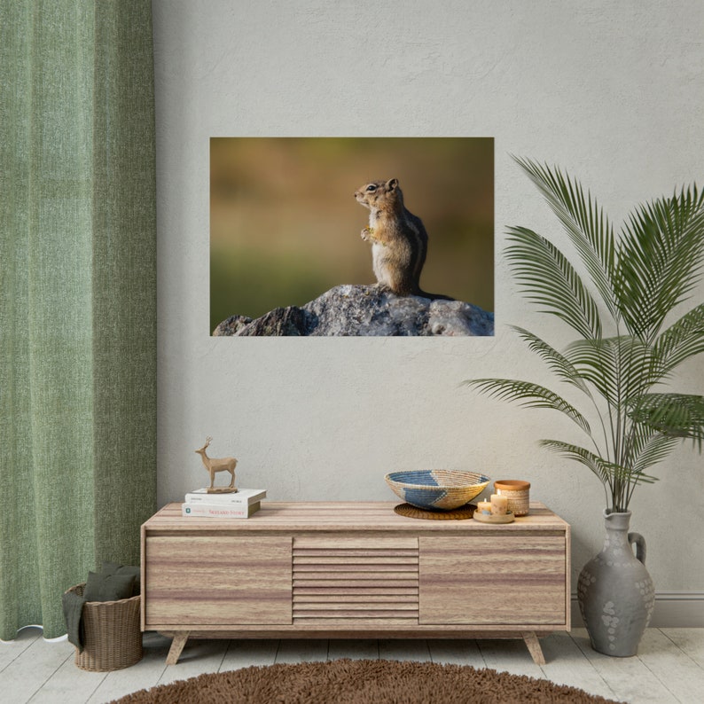 Chipmunk Rolled Poster Chipmunk Print Chipmunk Art Squirrel Photo ...