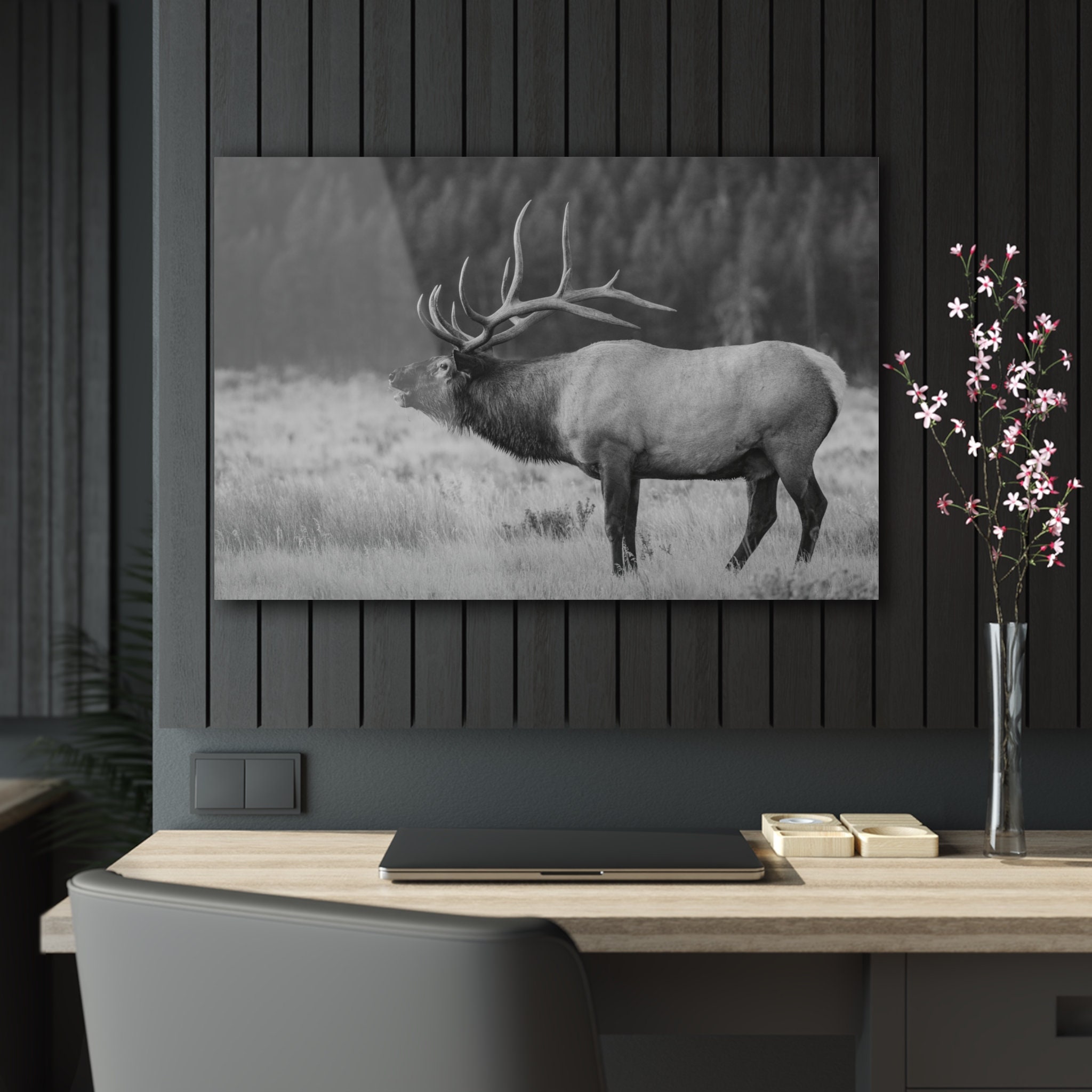 Bugling Bull Elk Acrylic Print Wall Art Elk Photo Elk Rut Elk Antlers ...