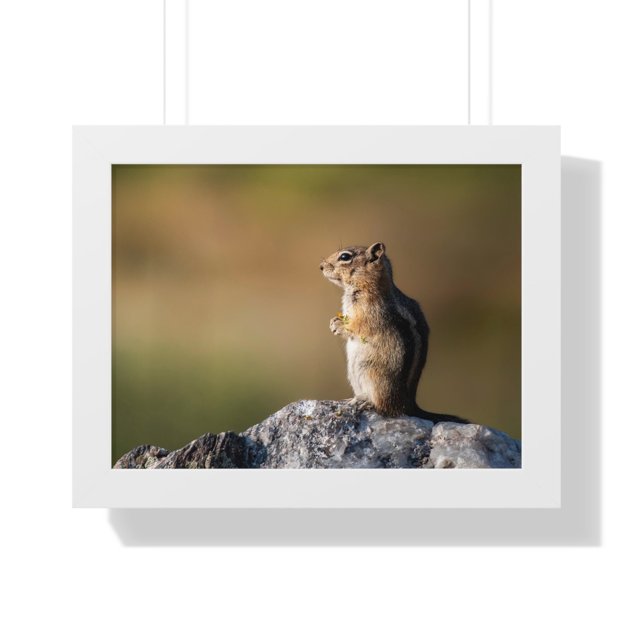 Chipmunk Framed Poster Chipmunk Print Chipmunk Art Squirrel Photo ...