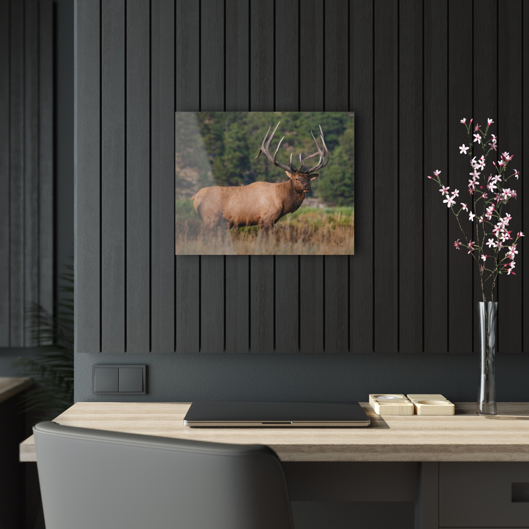 Bull Elk Acrylic Print Elk Antlers Elk Rut Elk Photo Elk Print Elk Art ...