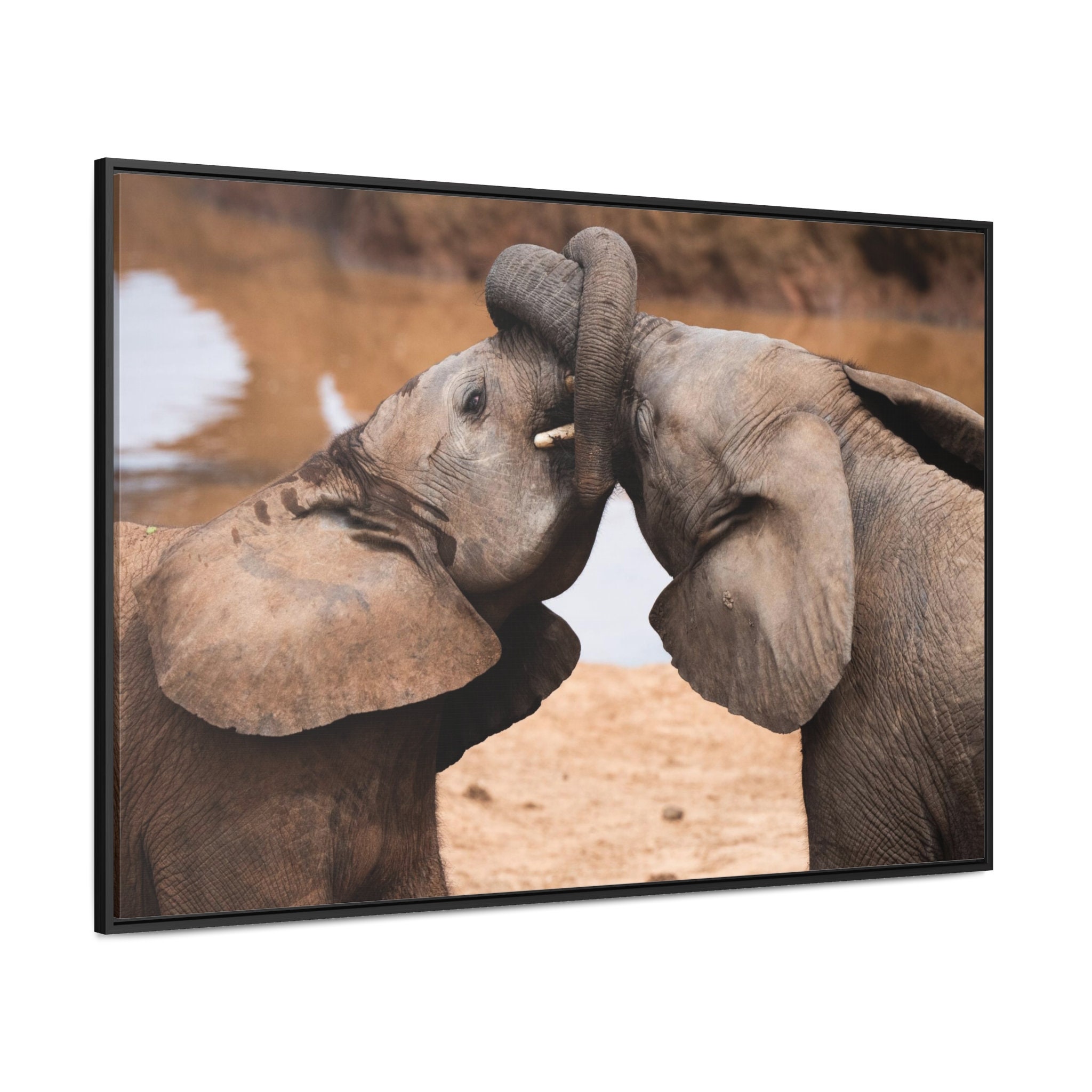 Baby Elephant Gallery Canvas Wrap Framed Elephant Gifts Elephant Photo ...