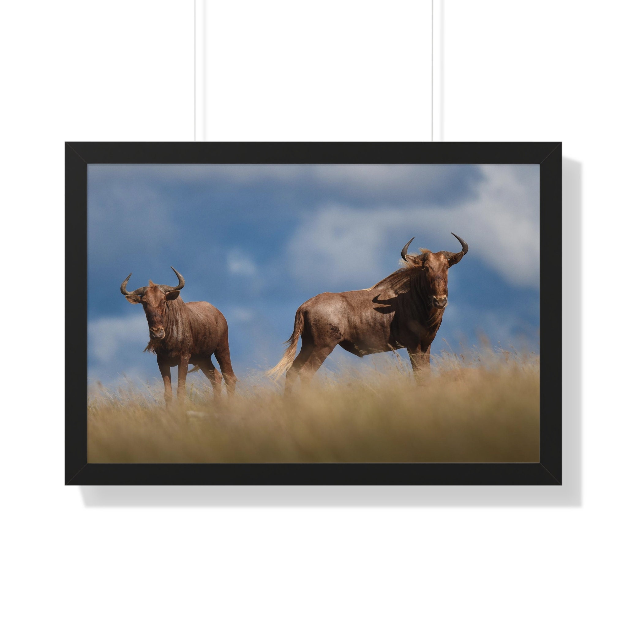Golden Wildebeest Framed Poster Wildebeest Photo Wildebeest Art Africa ...