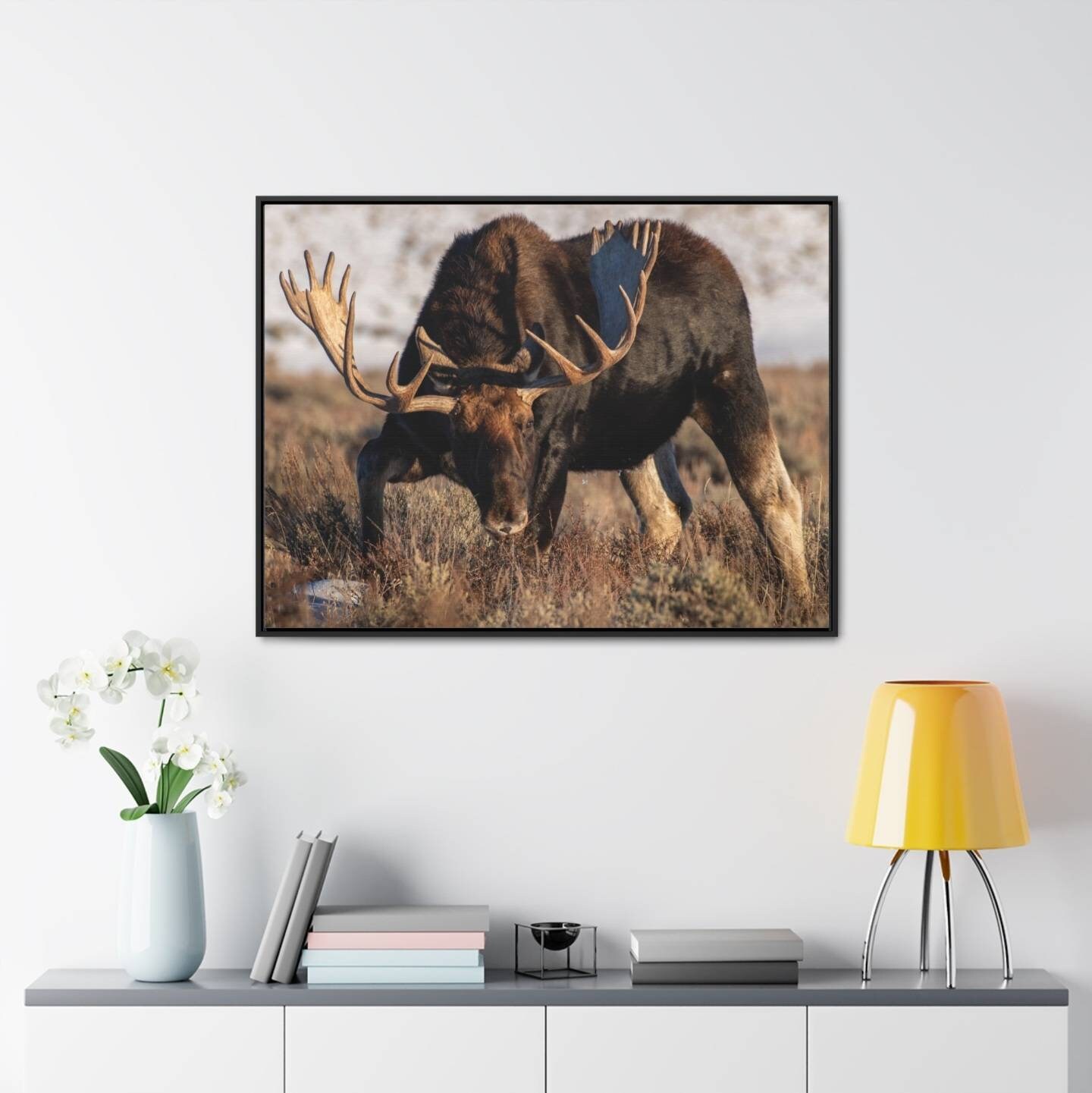 Big Bull Moose Gallery Canvas Wrap Framed Bull Moose Moose Photo Shiras ...