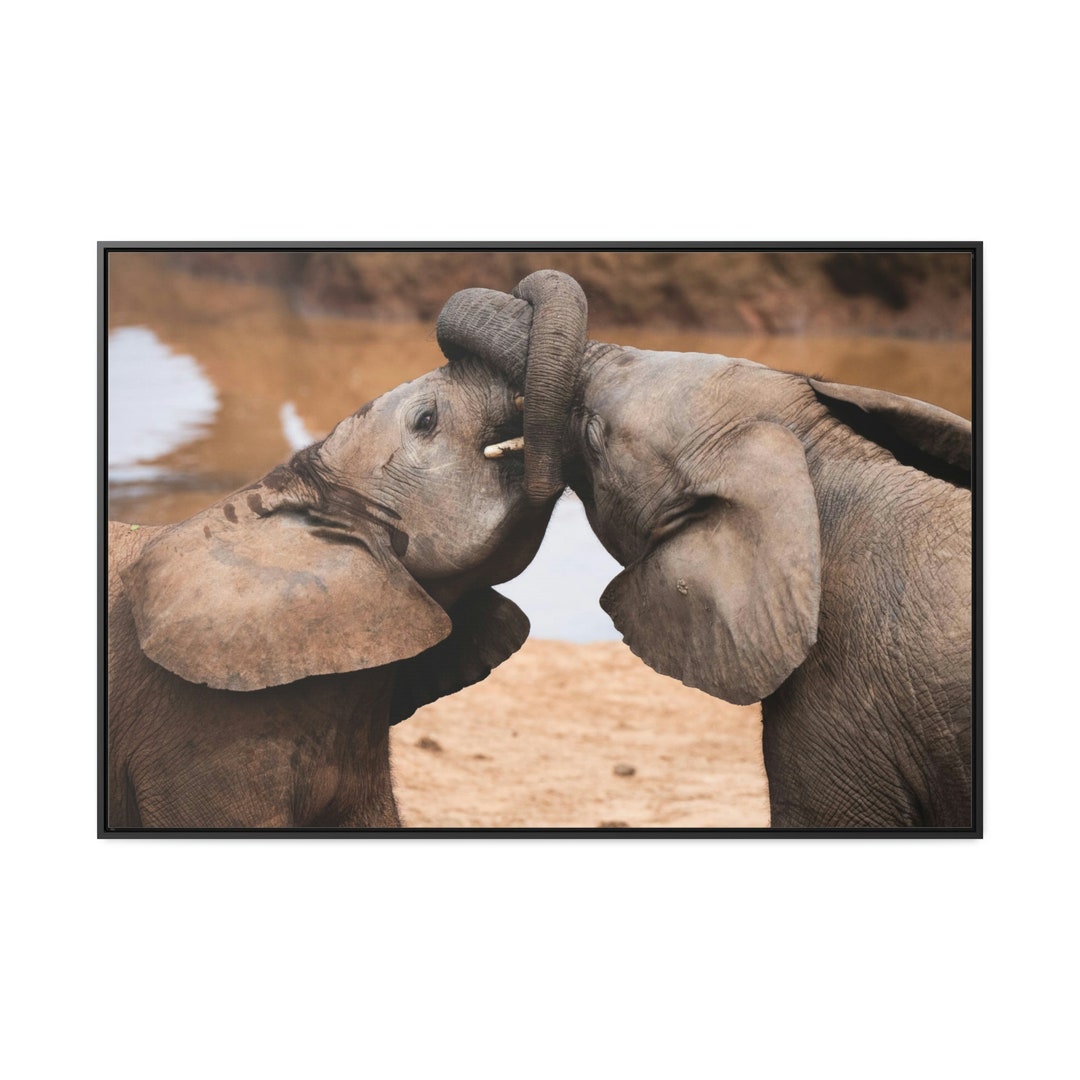 Baby Elephant Gallery Canvas Wrap Framed Elephant Gifts Elephant Photo ...
