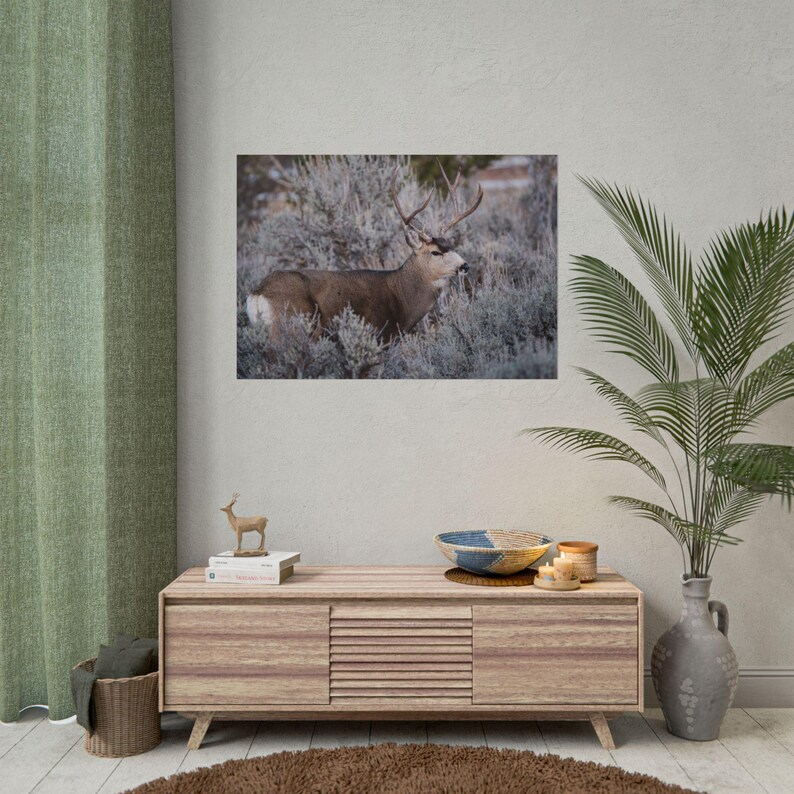 Wild Buck Rolled Poster, Mule Deer Wall Art, Rustic Cabin Decor ...