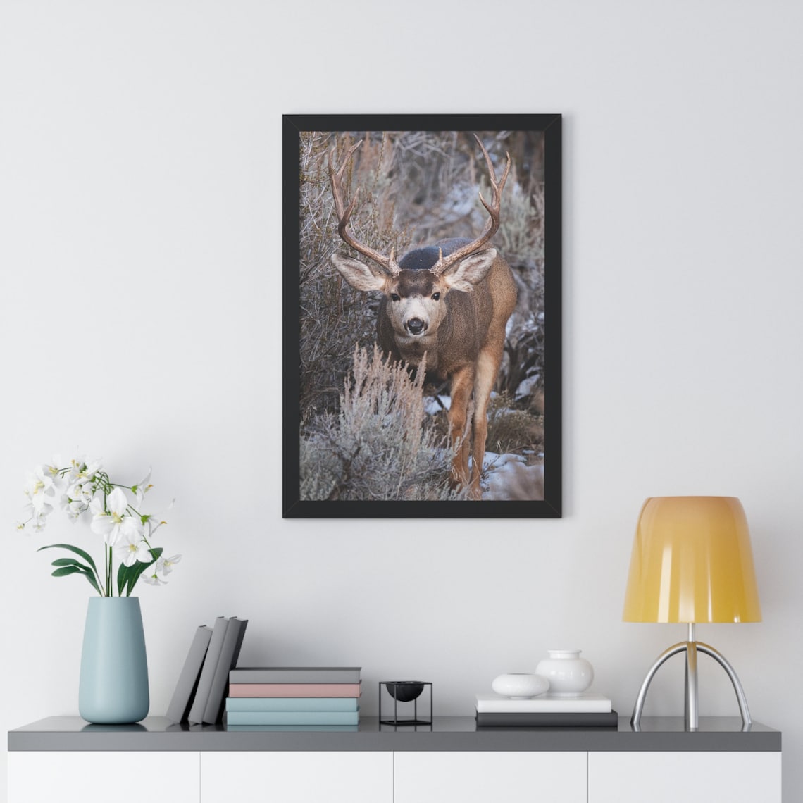 Big Mule Deer Buck Wall Art, Striking Head-on Portrait Photo Print for ...