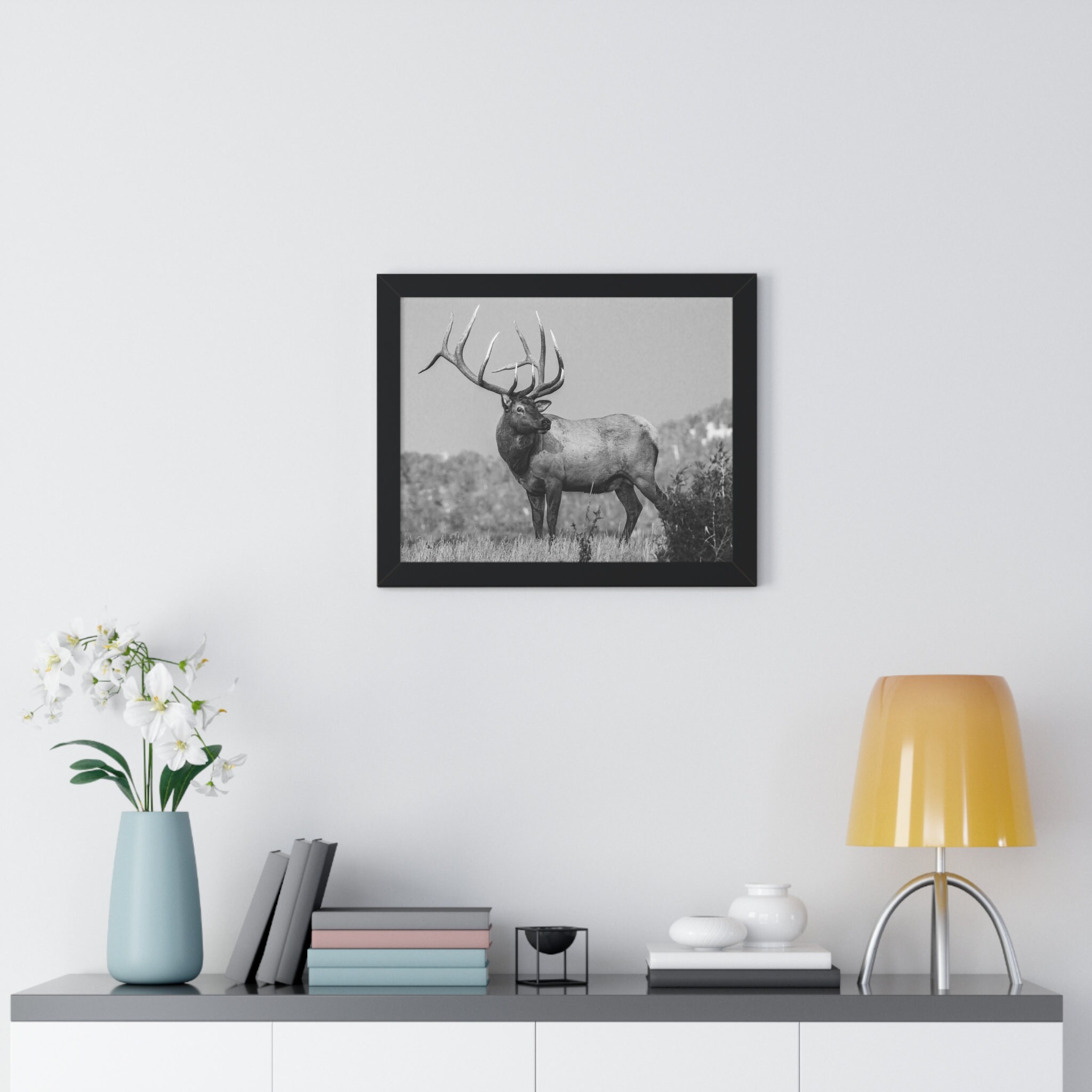 Bull Elk Portrait - Striking Black & White Wildlife Photography ...