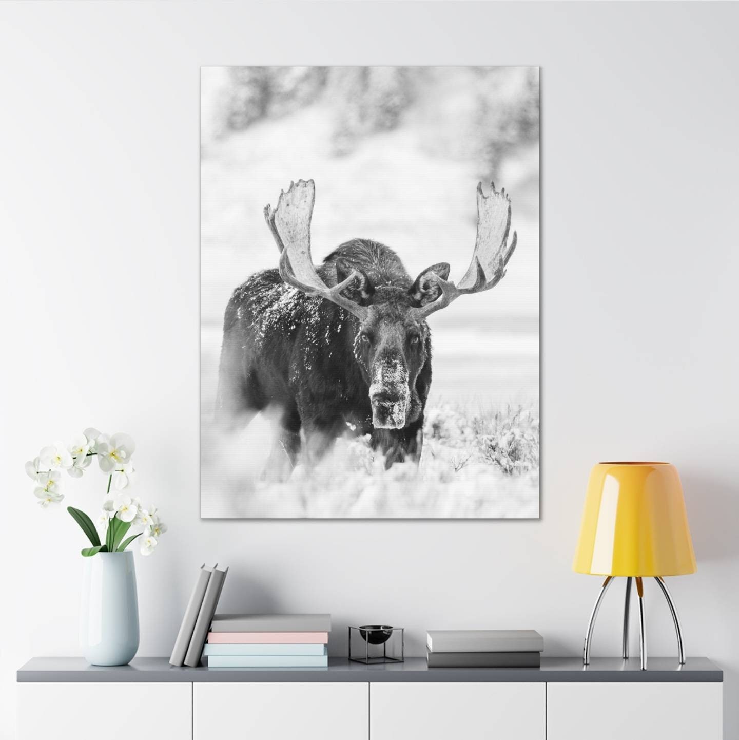Moose Bull Moose Moose Photo Winter Moose Big Bull Moose Photography ...