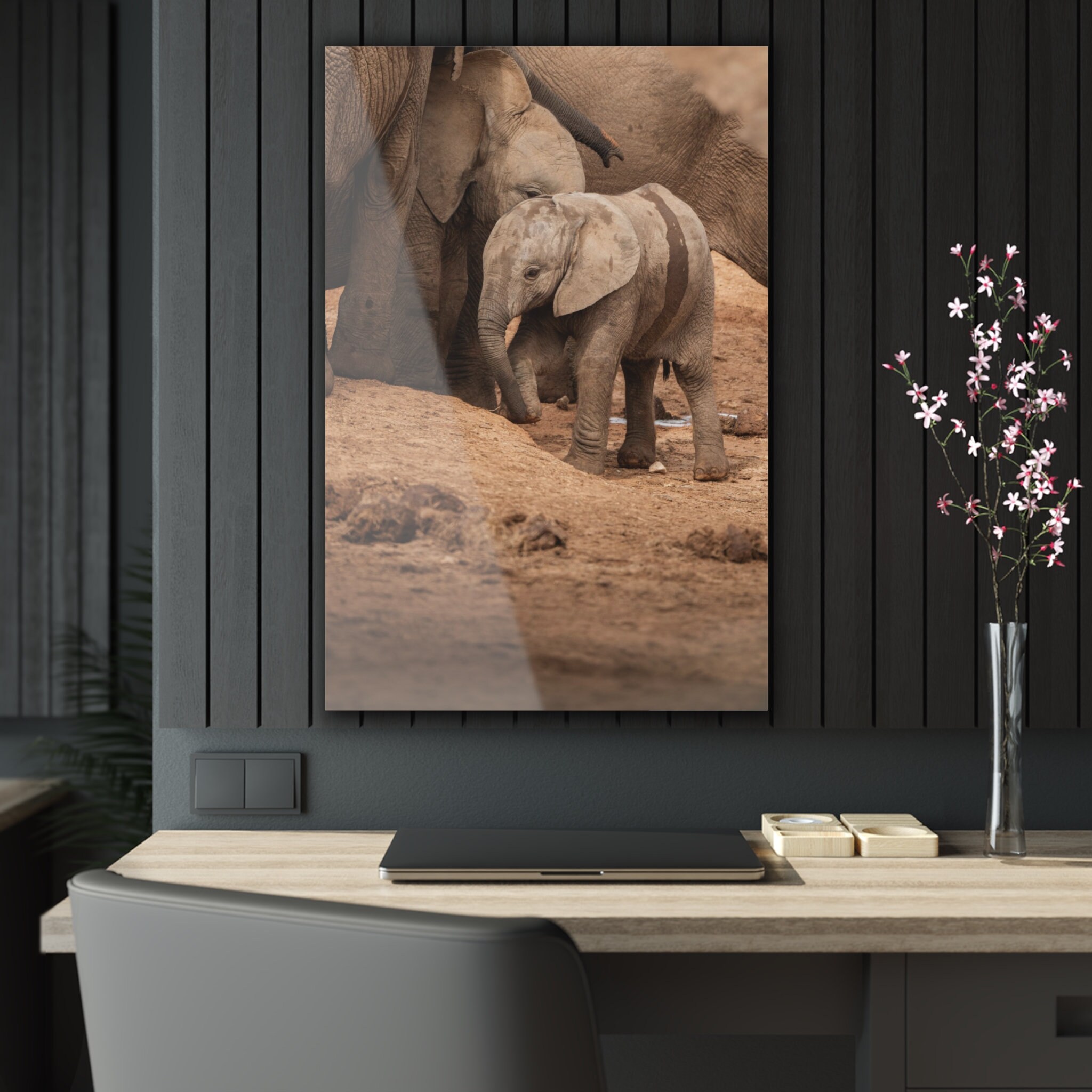 Baby Elephant Acrylic Print Elephant Gifts Elephant Art Elephant Photo ...