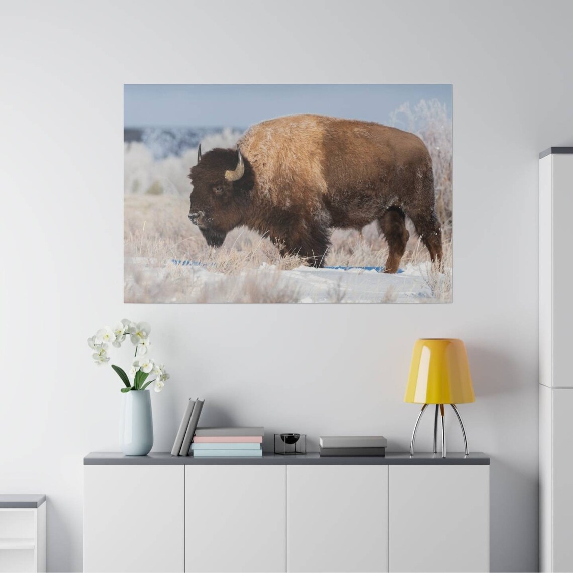 Buffalo, Bison, American Buffalo, Wildlife, Wildlife Photo, Wildlife ...