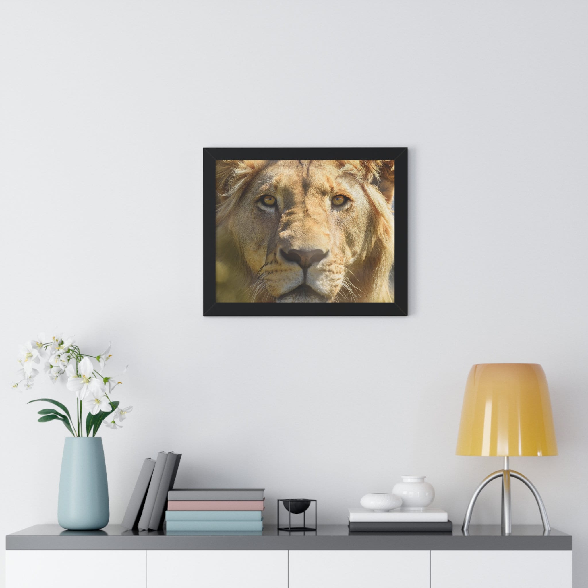 Lion Framed Poster African Lion Lion King Lions Mane Lion Photo Lion ...