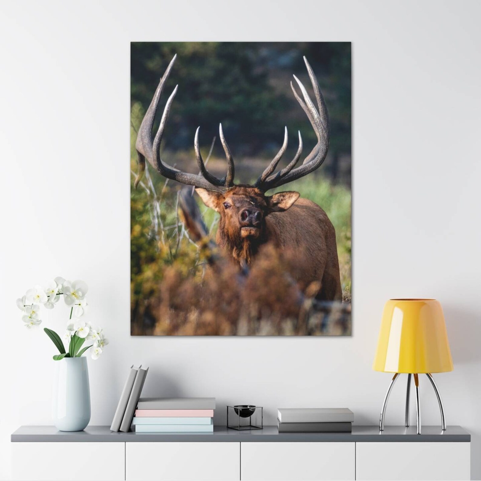 Big Bull Elk, Bull Elk, Elk Rut, Elk Photo, Elk Photography, Wildlife Photography, Wildlife Art ...