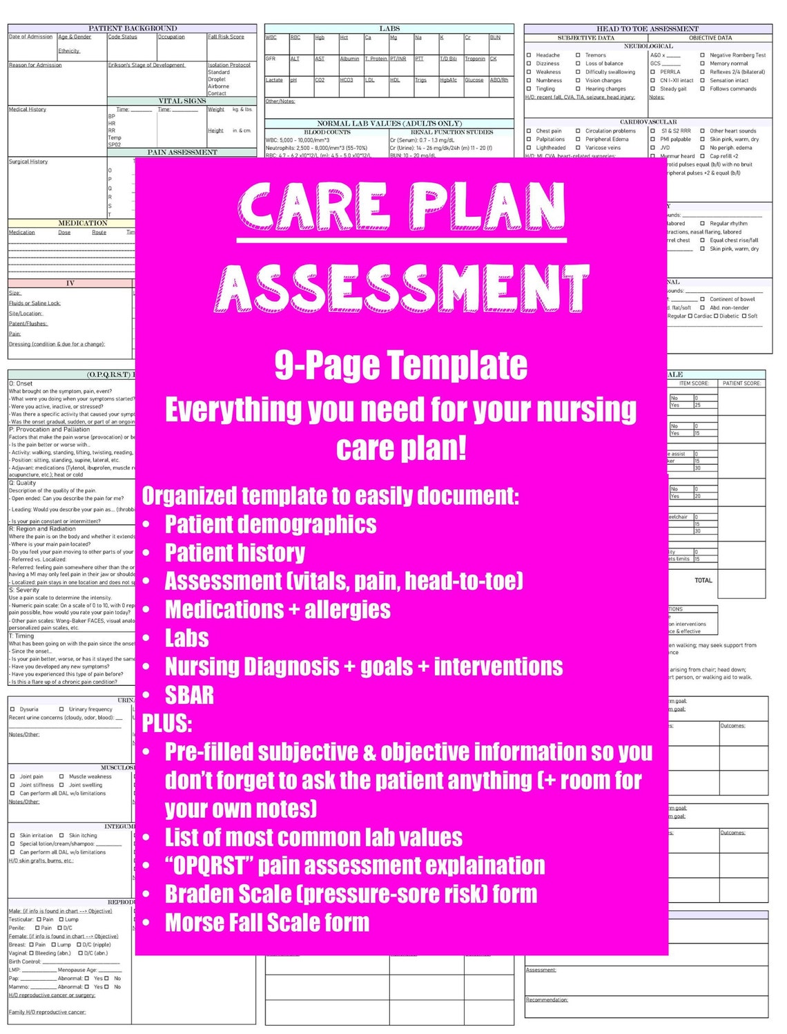 Nursing Care Plan Template - Etsy