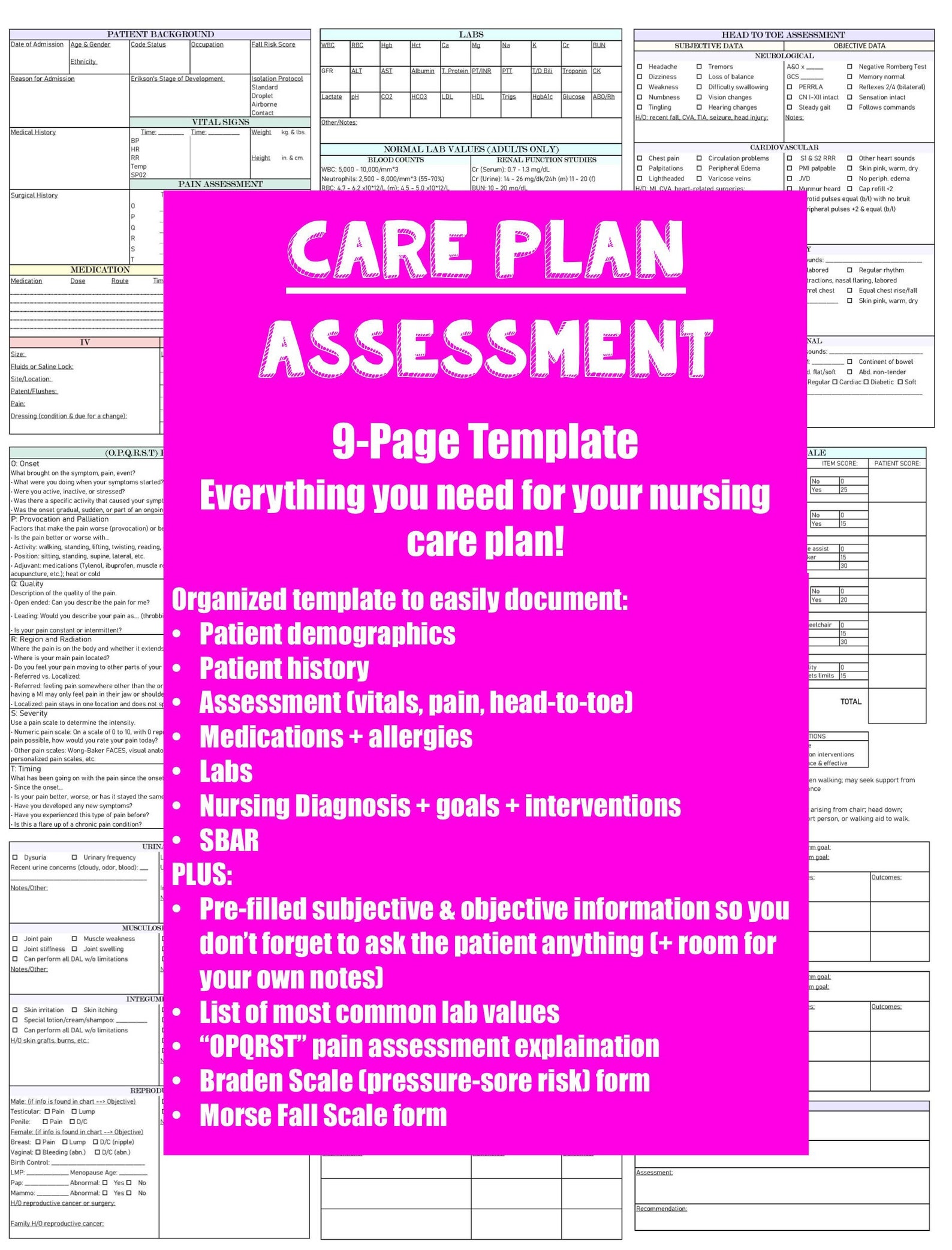 Nursing Care Plan Template - Etsy