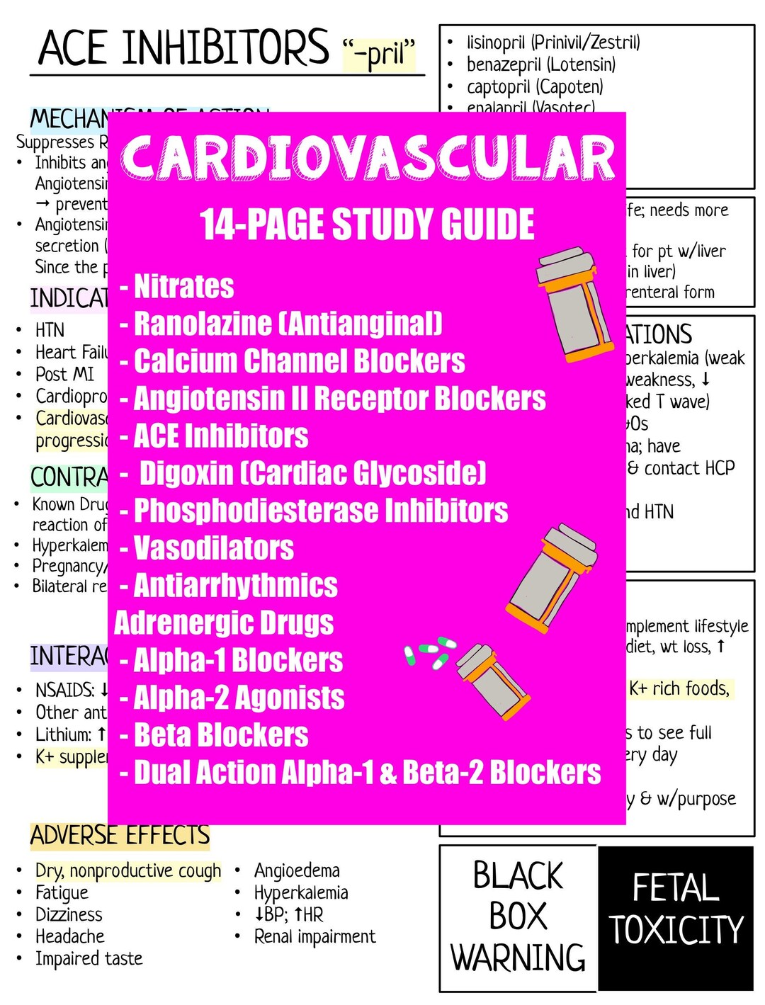 Cardiovascular Pharmacology Study Guide for Nursing (digital Download ...