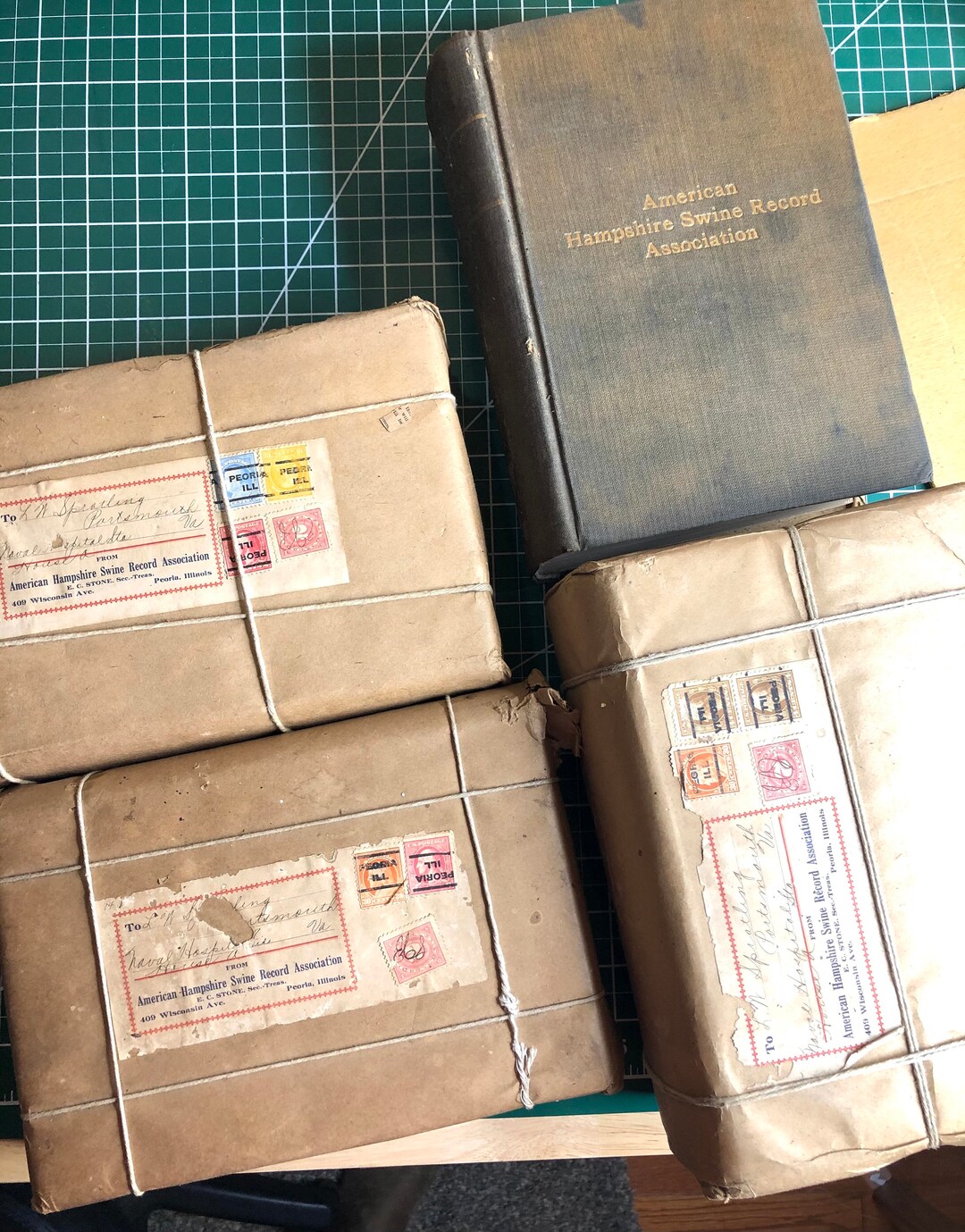 Antique American Hampshire Association Swine Record 1917-1918 Volumes ...
