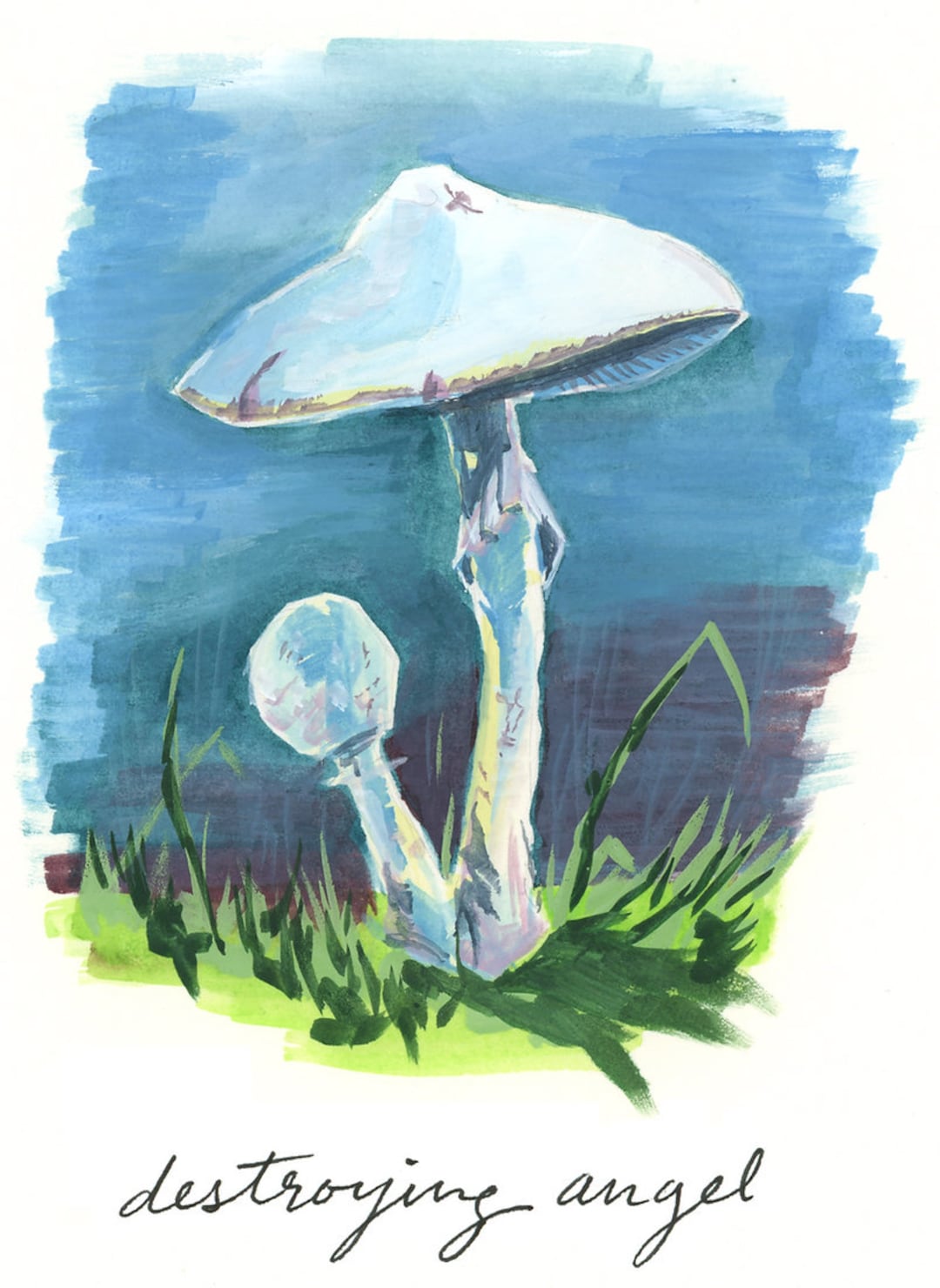 Destroying Angel Mushroom - Print of Handmade Watercolor Original ...